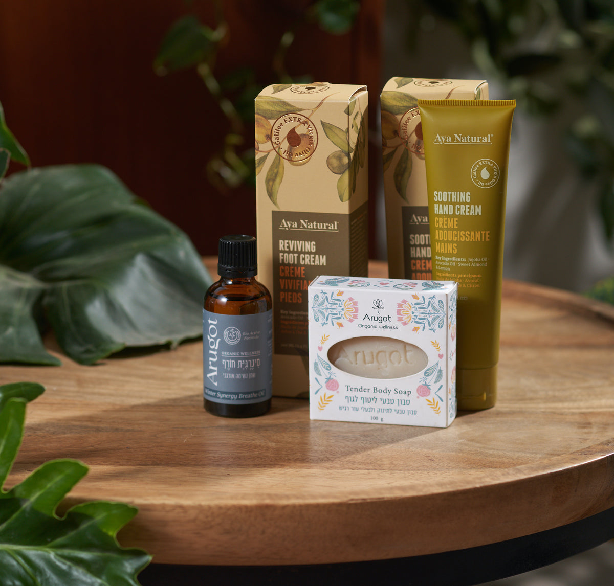 Galilee-Negev Winter Essentials Set | Jewish National Fund-USA